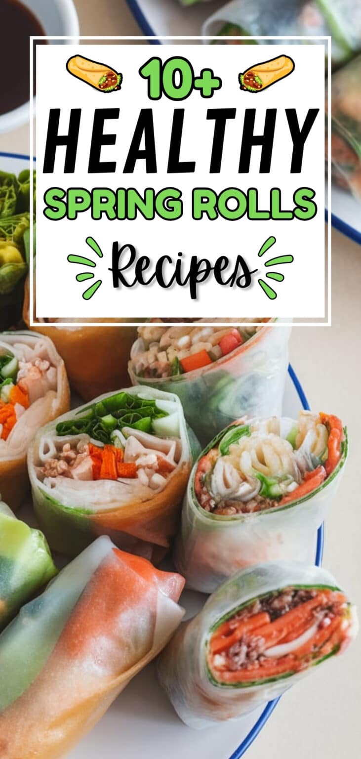 10+ Healthy Spring Rolls Recipes - The Mega Mom