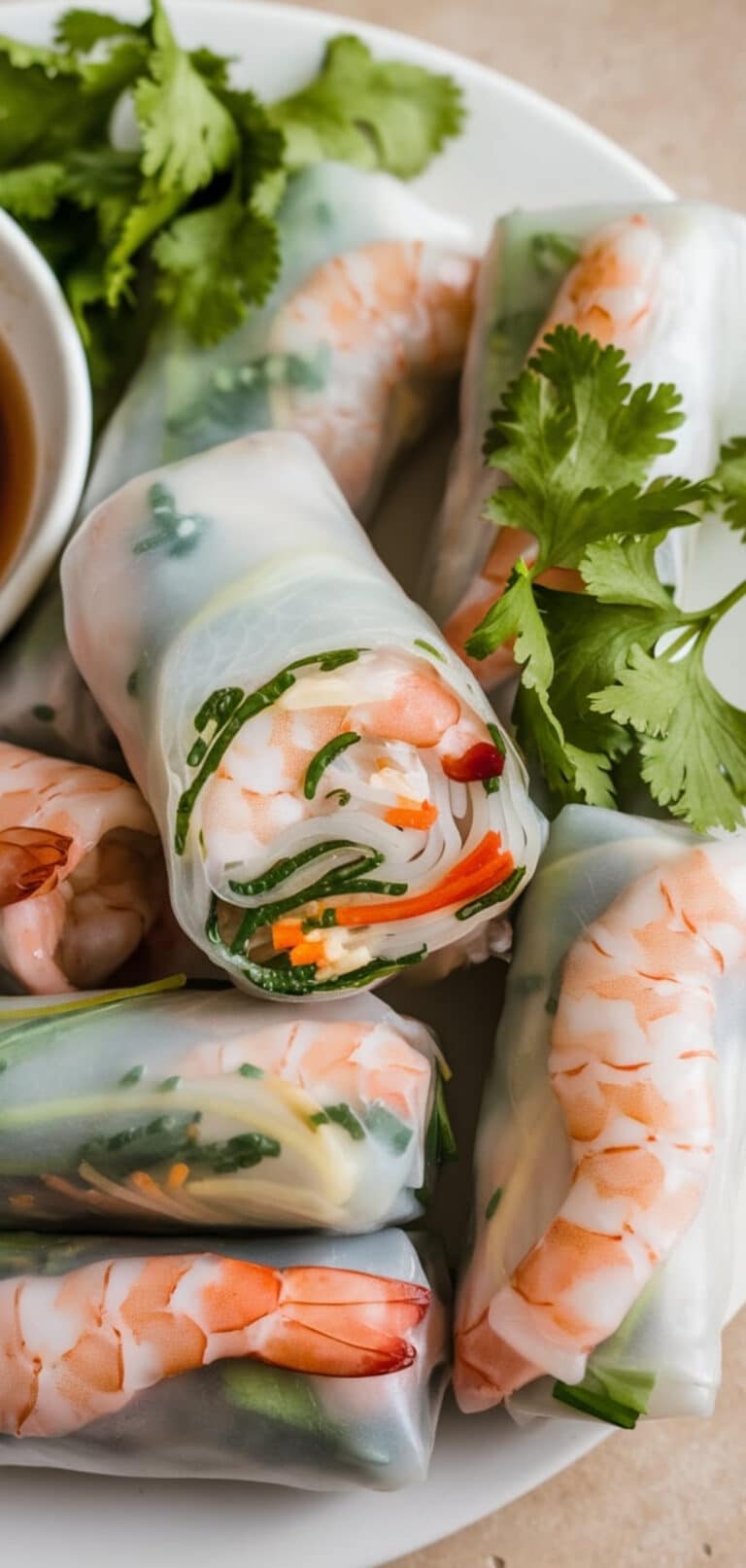 10+ Healthy Spring Rolls Recipes - The Mega Mom