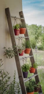 17 Creative Ladder Herb Gardening Ideas On a Budget - The Mega Mom