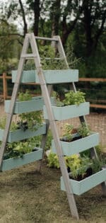 17 Creative Ladder Herb Gardening Ideas On a Budget - The Mega Mom