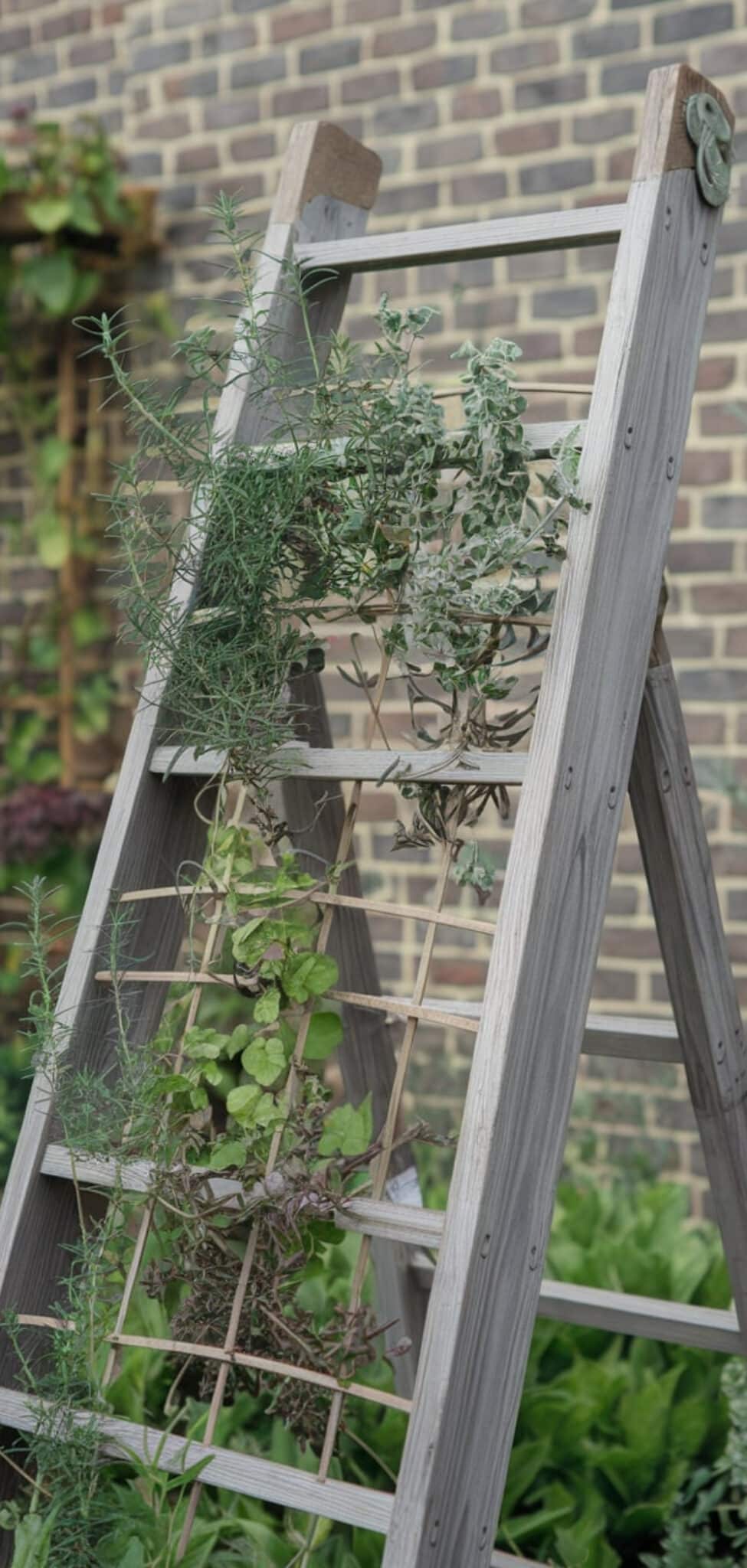 17 Creative Ladder Herb Gardening Ideas On a Budget - The Mega Mom