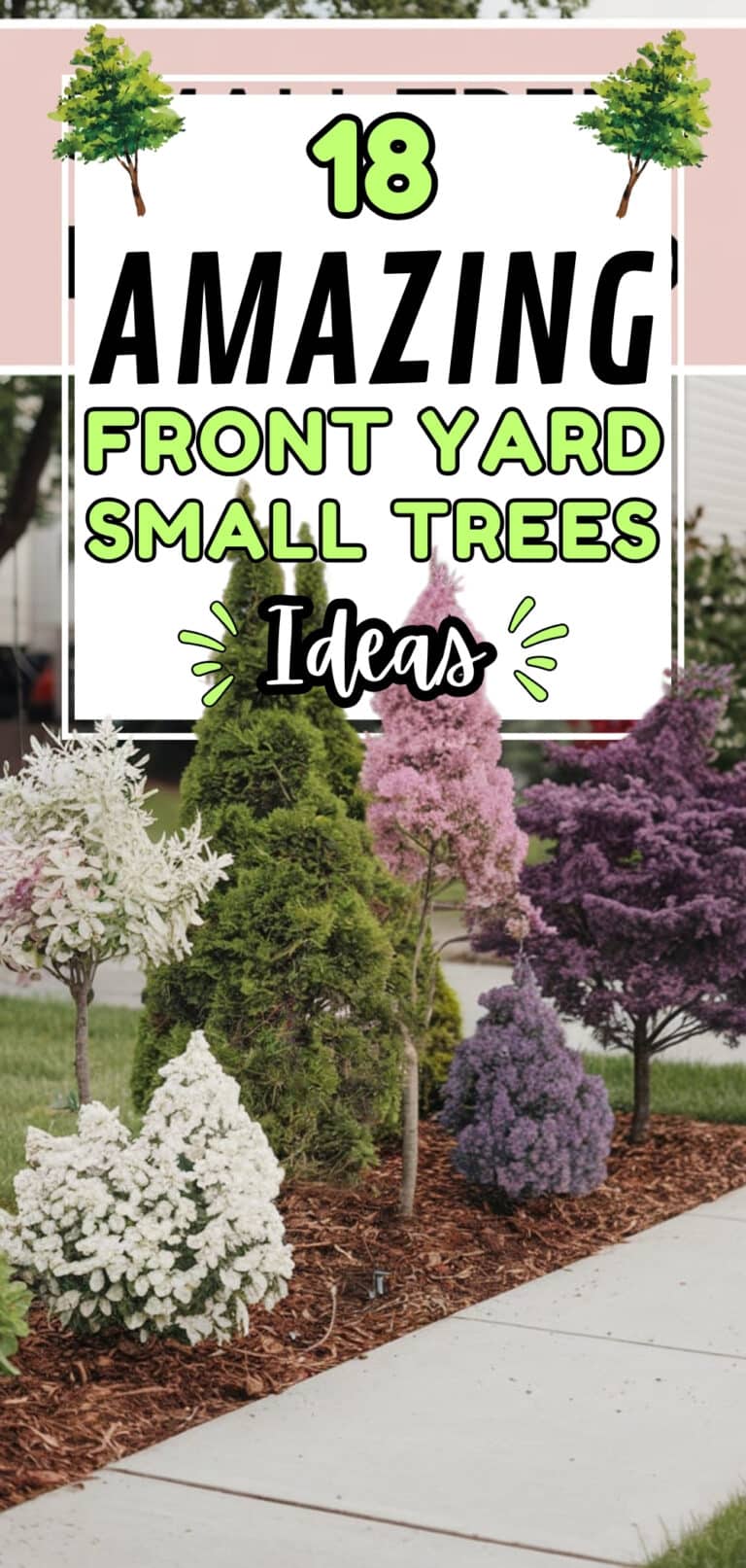 18 Amazing Small Trees Front Yard Ideas - The Mega Mom