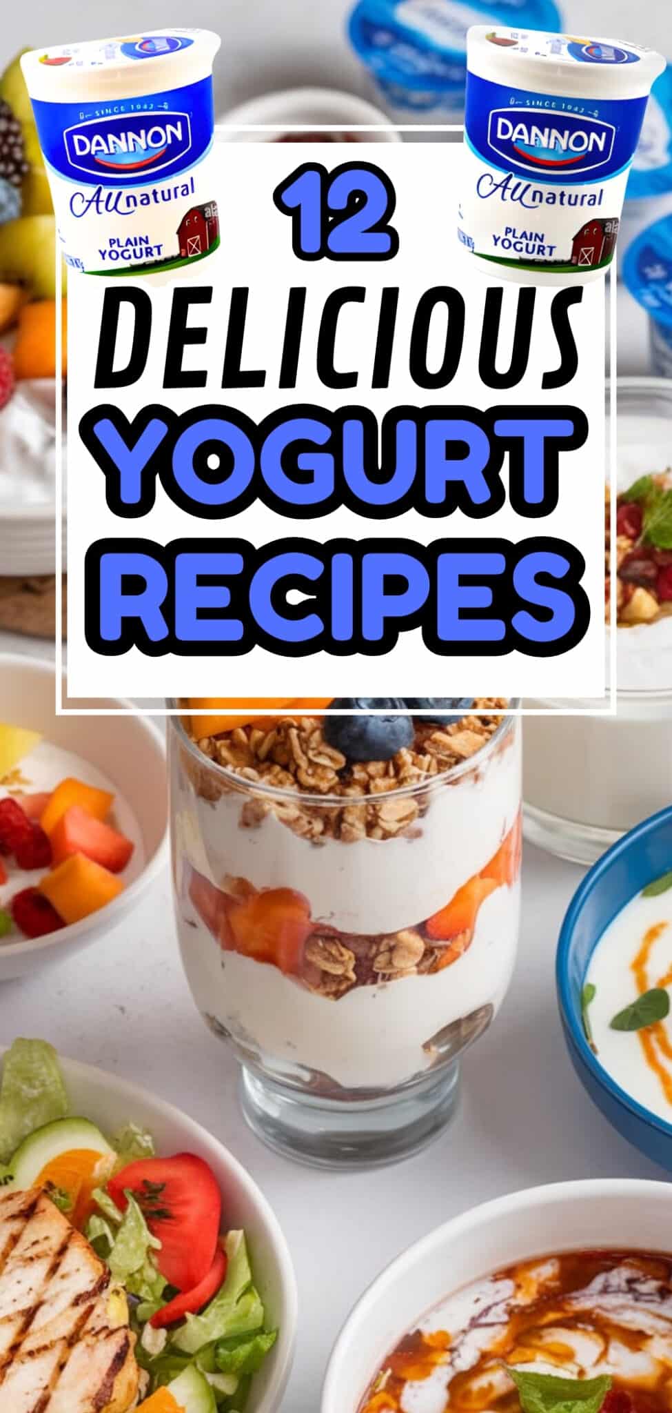 12 Delicious Yogurt Recipes - The Mega Mom