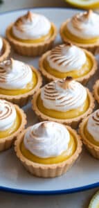 12 Irresistible Lemon Recipes - The Mega Mom