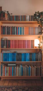 15 Brilliant Bookshelf Styling with Lots of Books - The Mega Mom