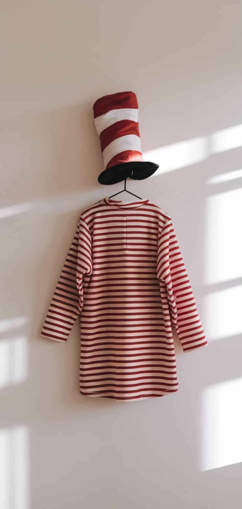 18 Best Book Character Costumes for Teachers - The Mega Mom