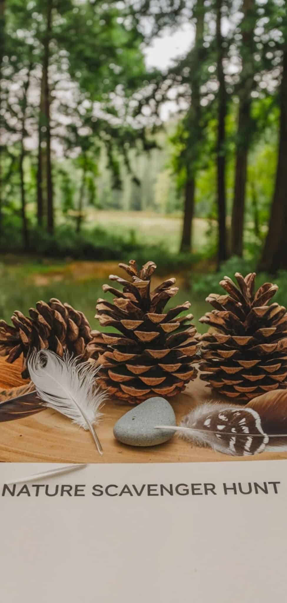 17 Joyful Preschool Summer Activities for Kids Ideas - The Mega Mom