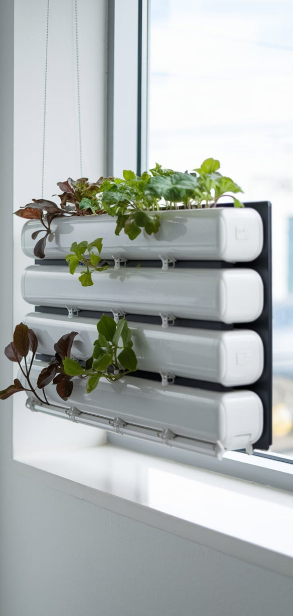 15 Easy Indoor Hydroponic Gardening Ideas - The Mega Mom