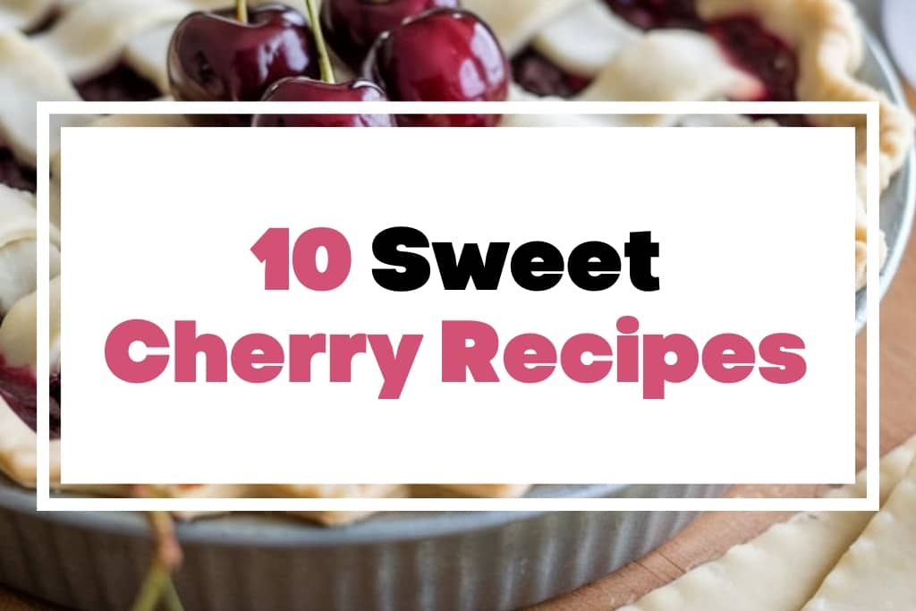 10 Sweet Cherry Recipes - The Mega Mom
