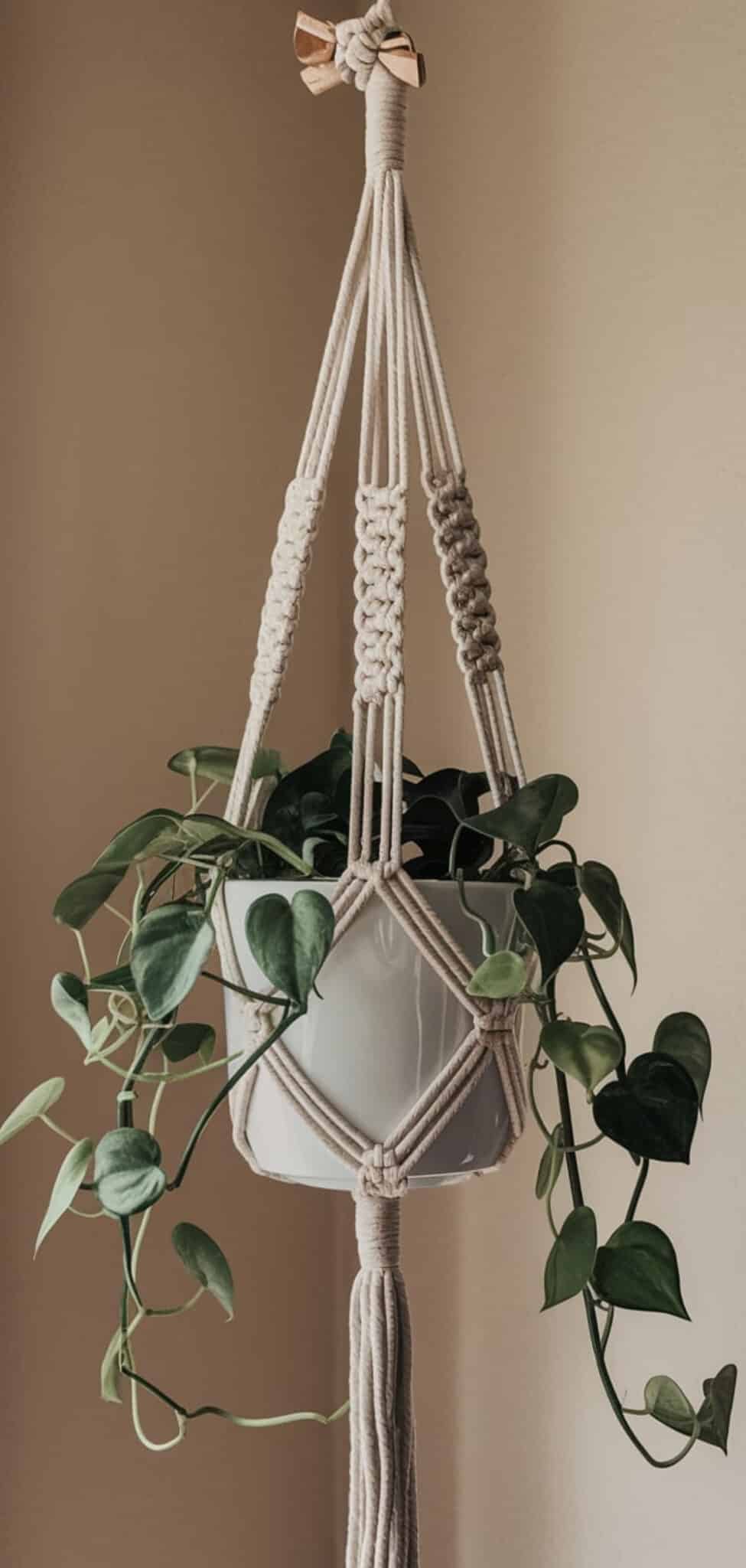 15 Easy DIY Macrame Plant Hanger Patterns - The Mega Mom