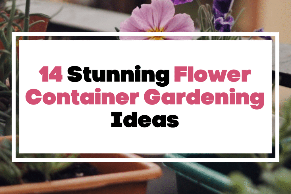 14 Stunning Flower Container Gardening Ideas - The Mega Mom