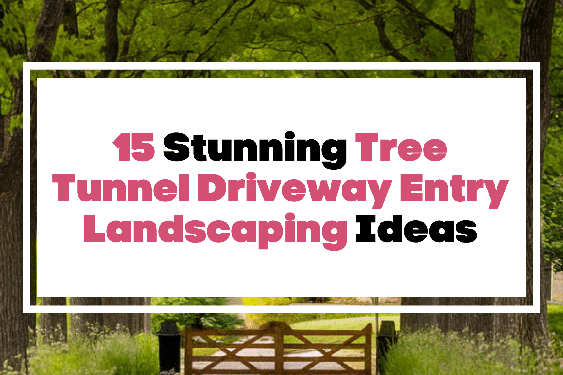 15 Stunning Tree Tunnel Driveway Entry Landscaping Ideas - The Mega Mom