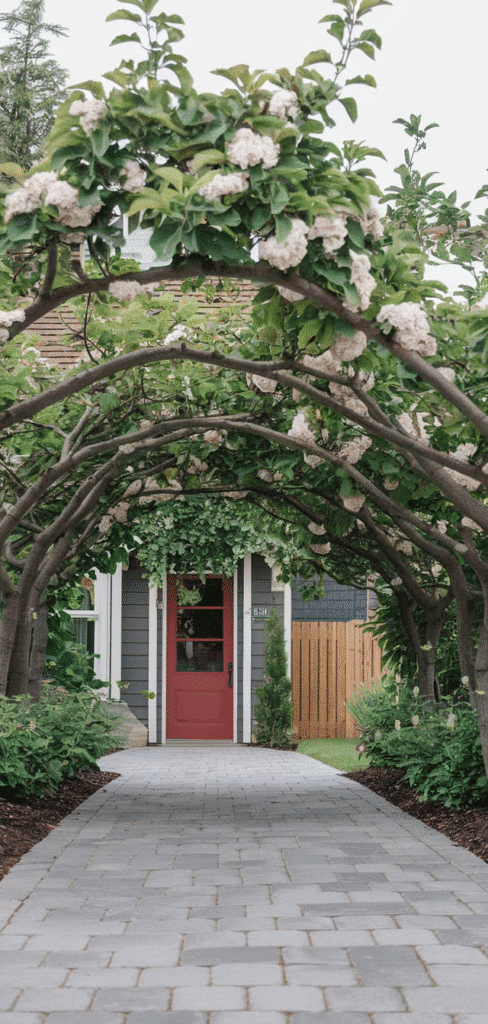 15 Stunning Tree Tunnel Driveway Entry Landscaping Ideas - The Mega Mom