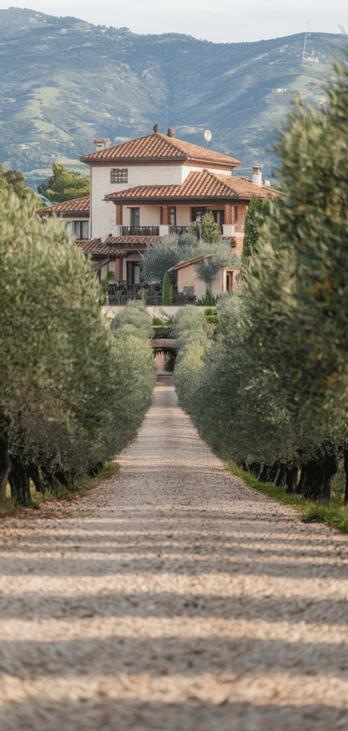 15 Stunning Tree Tunnel Driveway Entry Landscaping Ideas - The Mega Mom