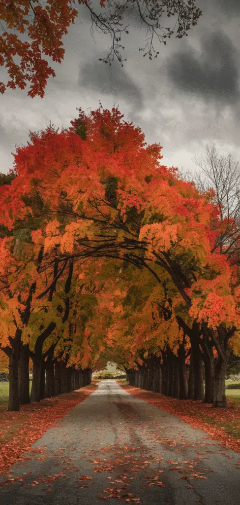 15 Stunning Tree Tunnel Driveway Entry Landscaping Ideas - The Mega Mom
