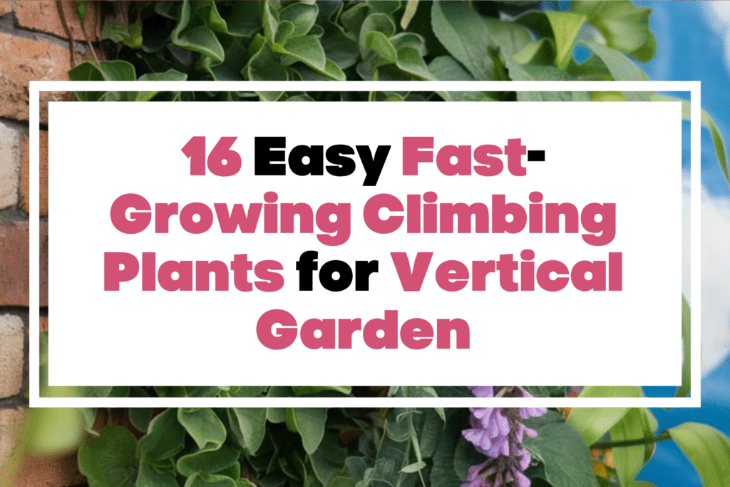 16 Easy Fast-Growing Climbing Plants for Vertical Garden - The Mega Mom