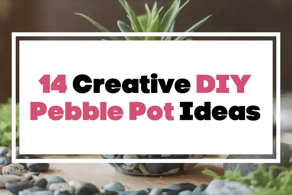 14 Creative DIY Pebble Pot Ideas - The Mega Mom