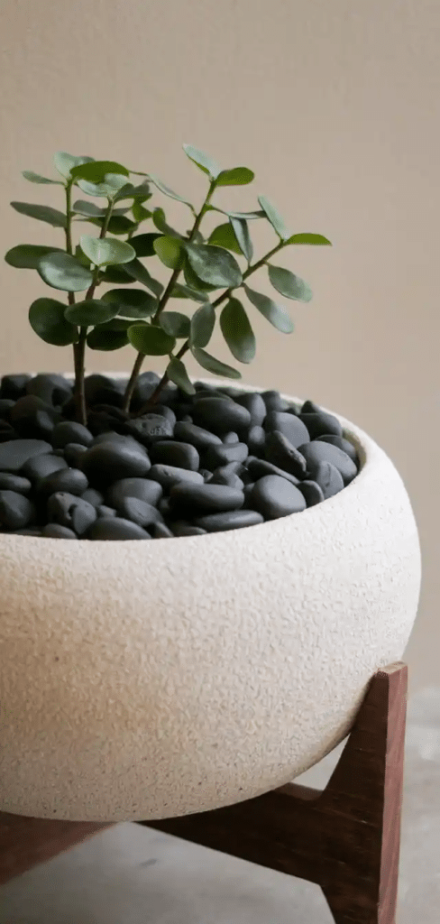 14 Creative DIY Pebble Pot Ideas - The Mega Mom