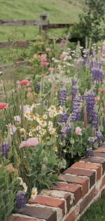 14 Creative Country Yard Decor Ideas - The Mega Mom