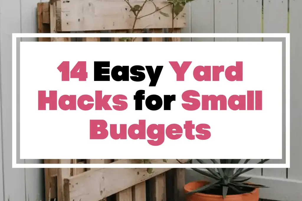 14 Easy Yard Hacks for Small Budgets - The Mega Mom