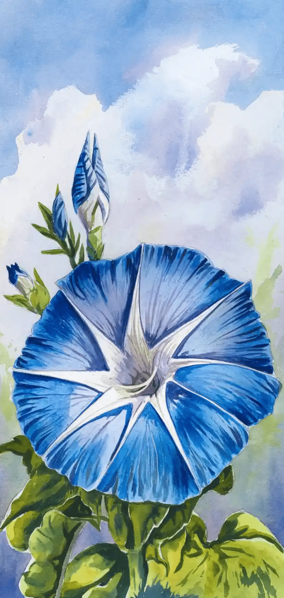 15 Easy Step-By-Step Watercolor Flowers Tutorials for Beginners - The ...