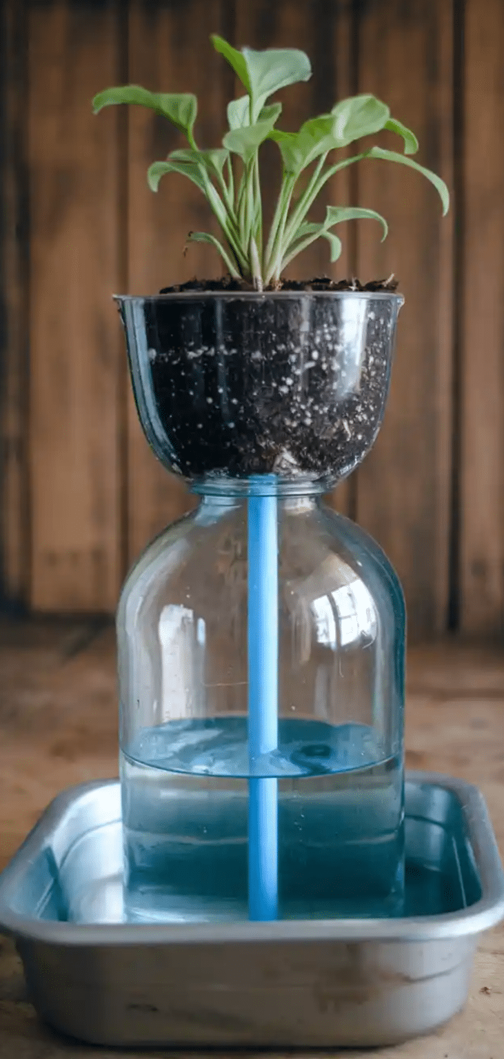13 Genius DIY Self-Watering Planters - The Mega Mom