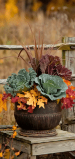 13 Charming Fall Container Planter Ideas - The Mega Mom
