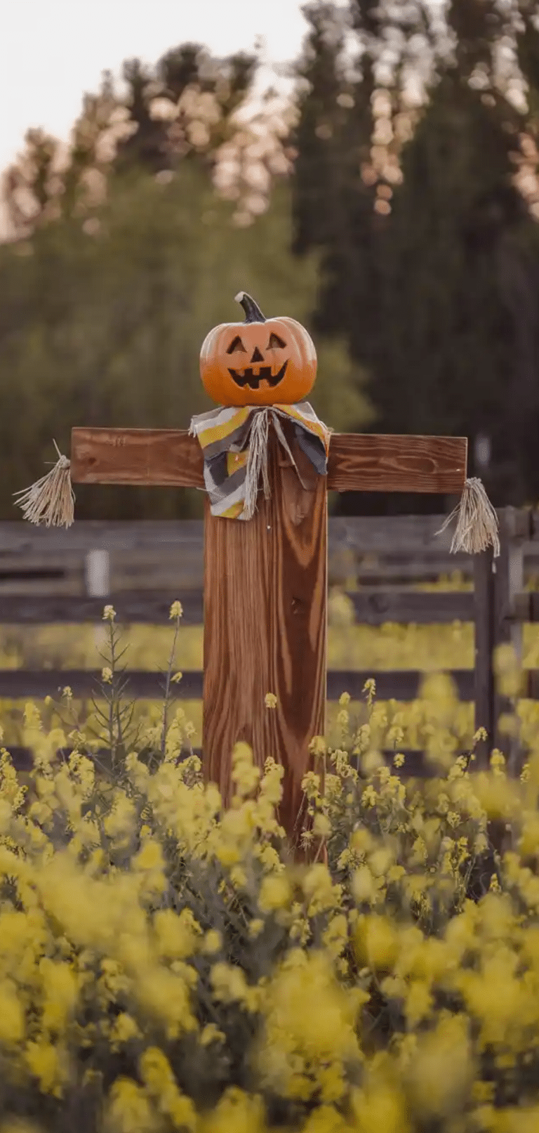 15 Stunning Wooden Scarecrows for Fall Decor - The Mega Mom