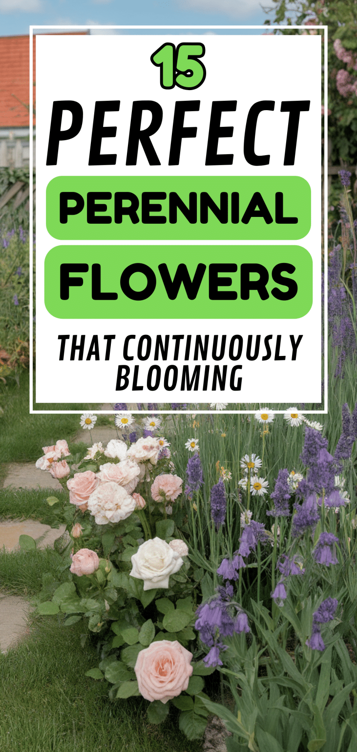 15 Perfect Perennial Flowers for a Spring to Fall Garden That ...