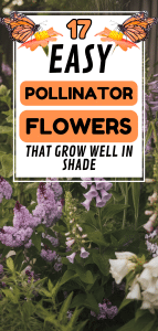 17 Easy Pollinator Flowers That Grow Well in Shade - The Mega Mom