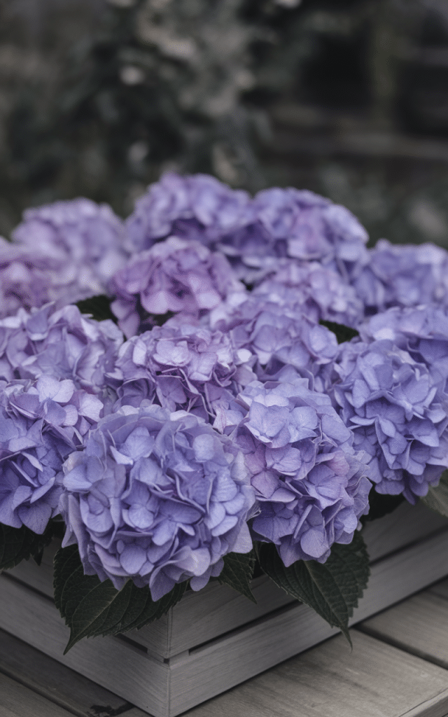 17 Stunning Flower Window Box Ideas - The Mega Mom