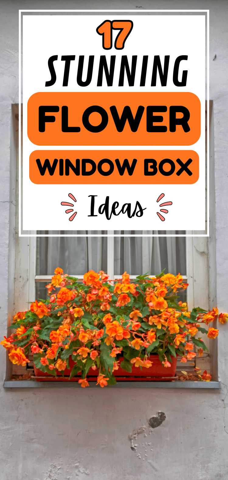 17 Stunning Flower Window Box Ideas - The Mega Mom