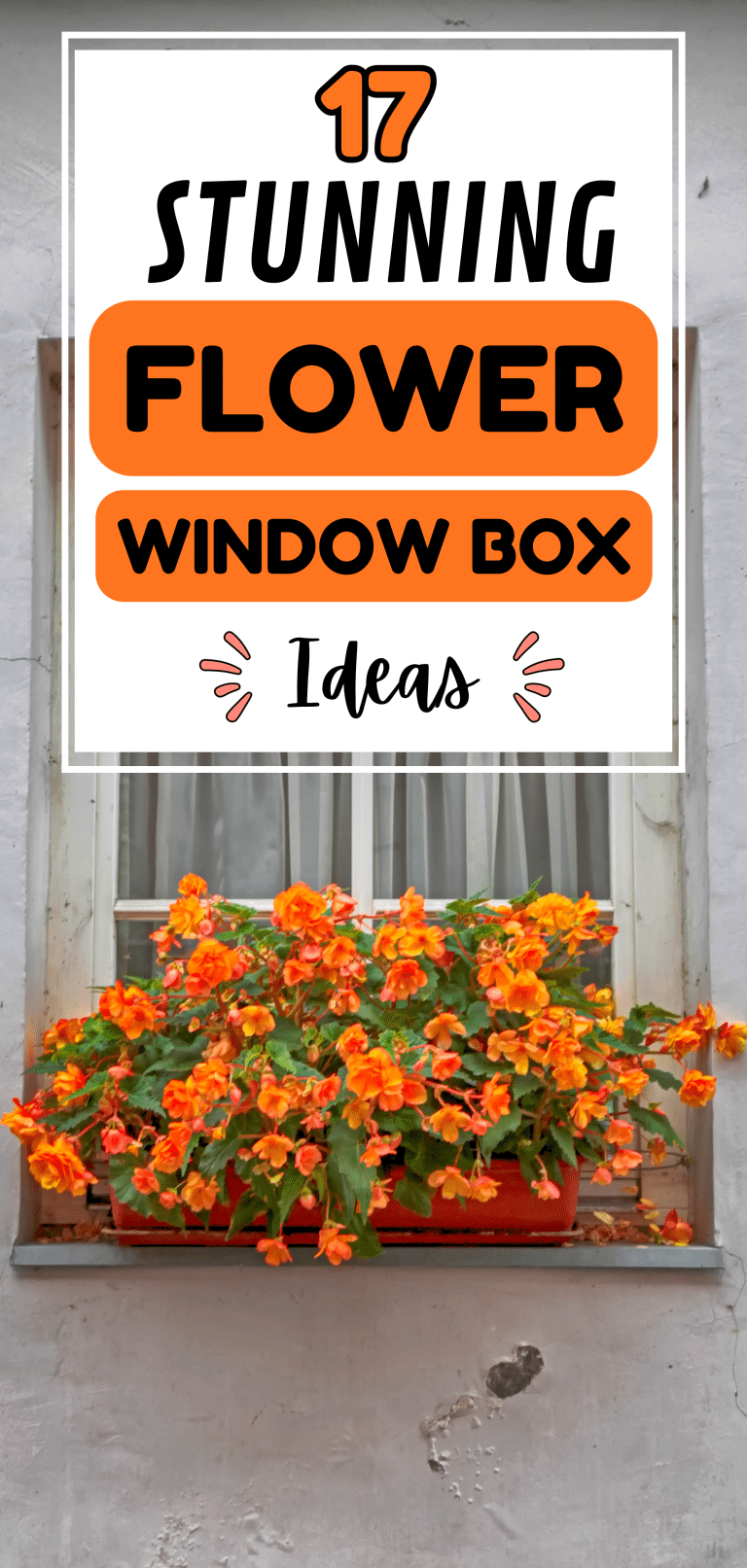 17 Stunning Flower Window Box Ideas - The Mega Mom