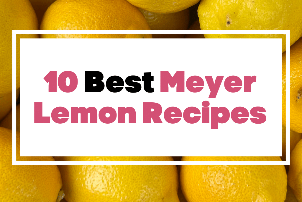 10 Best Meyer Lemon Recipes - The Mega Mom