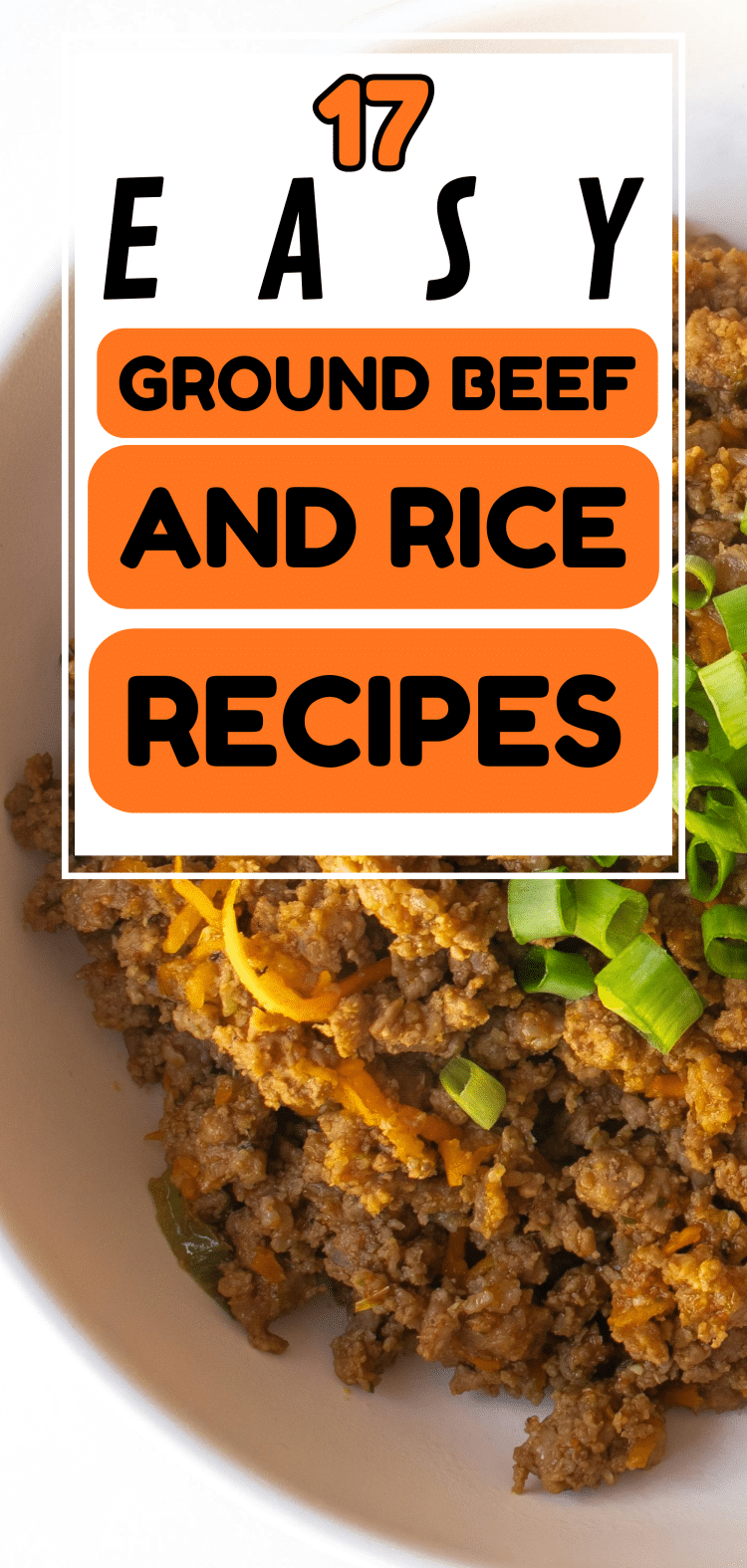 17 Easy Ground Beef And Rice recipes - The Mega Mom